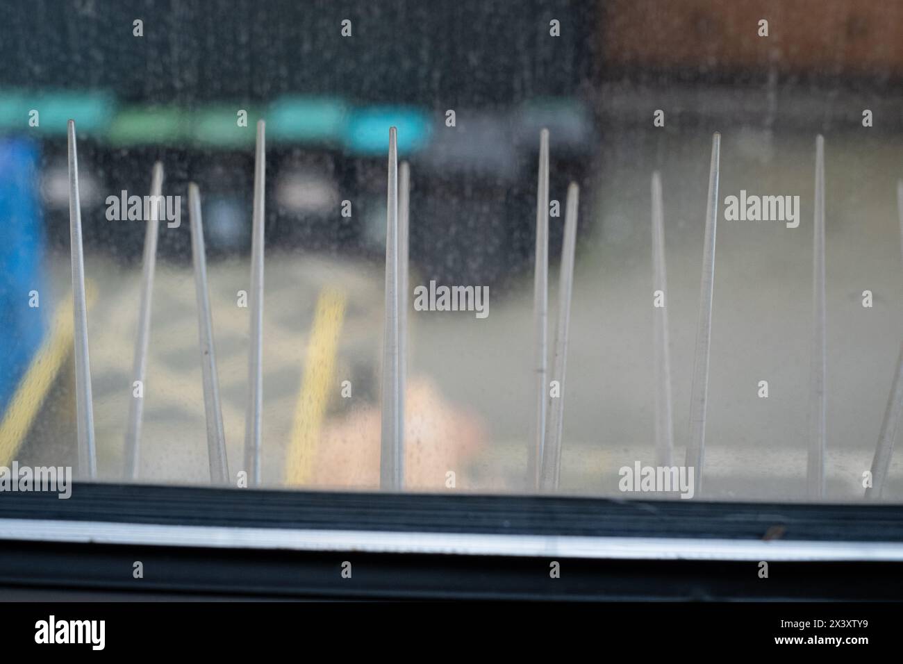 Spikes attached outside a window, to deter pigeons and other birds from ...