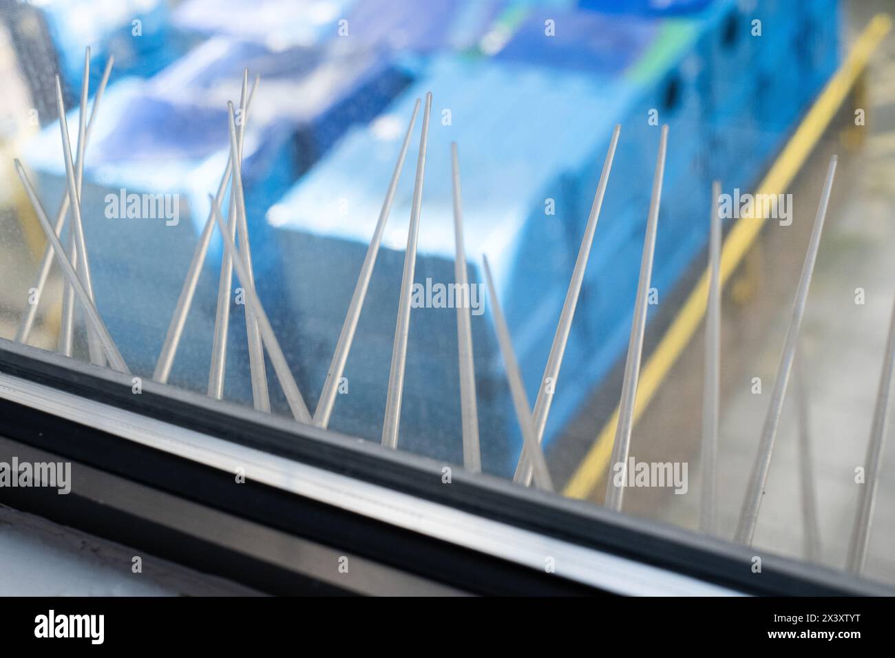 Spikes attached outside a window, to deter pigeons and other birds from ...