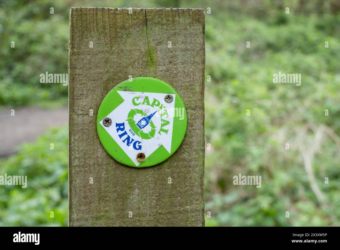 Capital Ring Walk wayfinder sign on a wooden post Stock Photo - Alamy