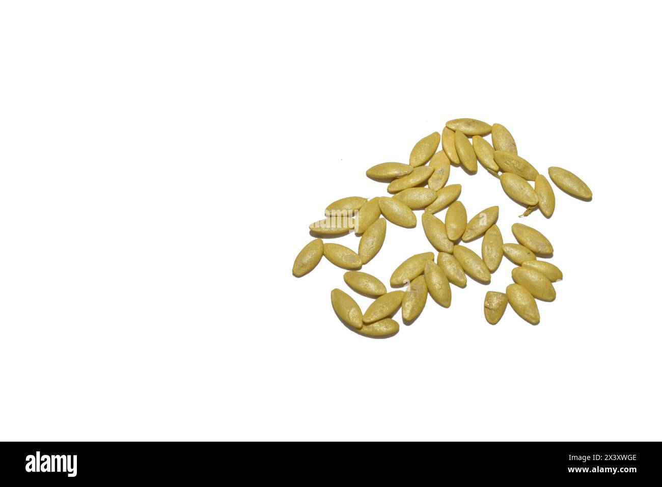 Dry melon seeds, ready for planting in the garden, on a white ...