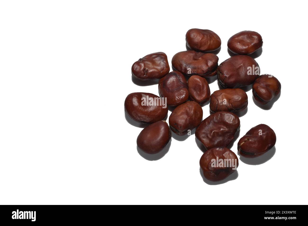 Dry seeds of pepper beans, ready for planting in the vegetable garden ...