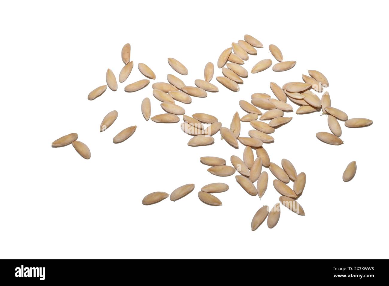 Dry cucumber seeds, ready for planting in the garden, on a white ...