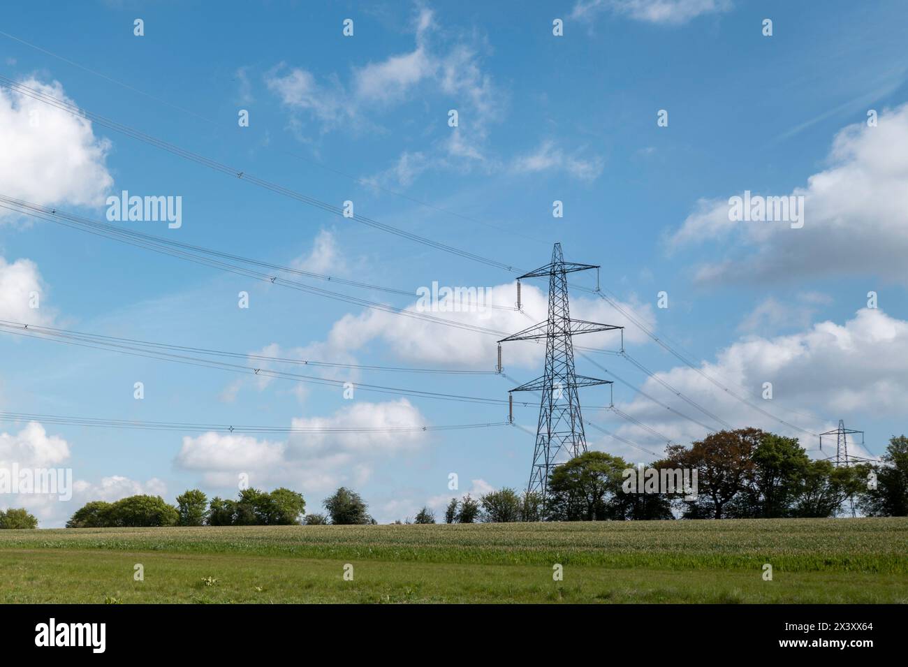Pylons in countryside Stock Photo - Alamy