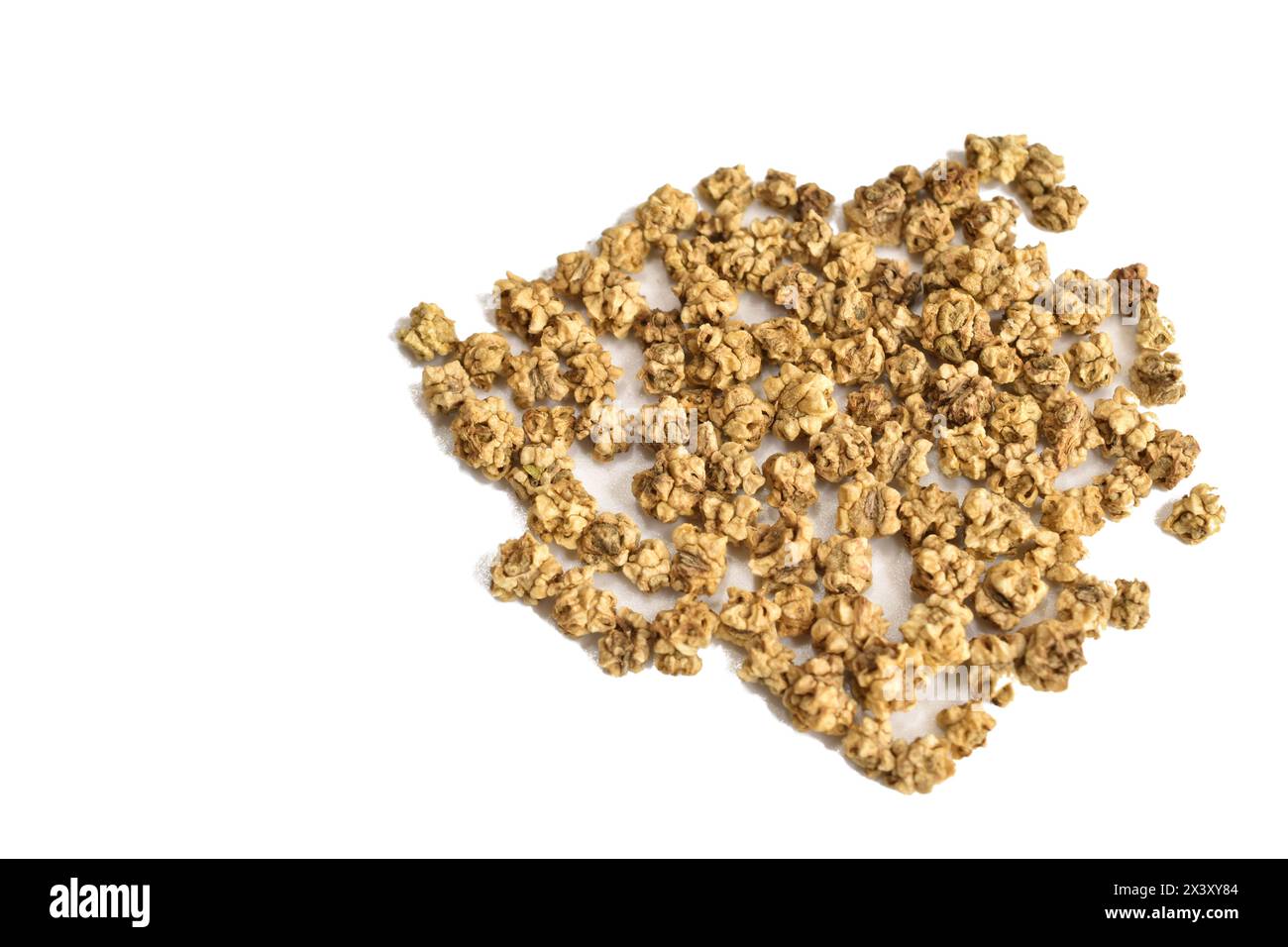 Dry beet seeds, ready for planting in the garden, on a white background ...