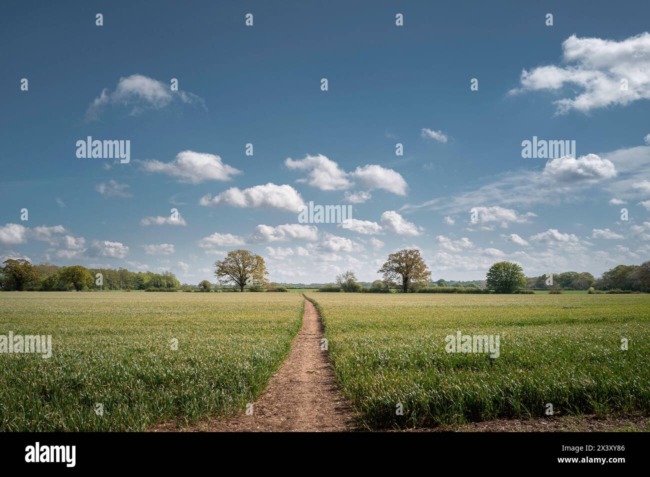 Essex way hi-res stock photography and images - Alamy