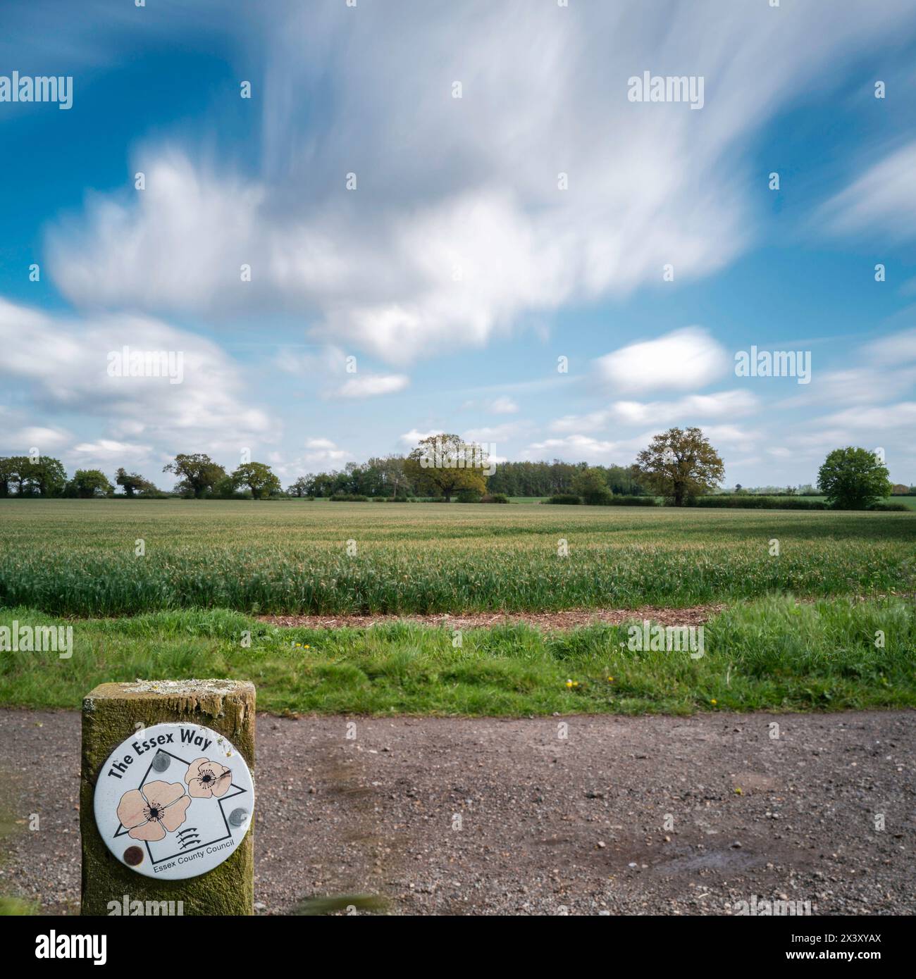 The Essex Way Stock Photo - Alamy
