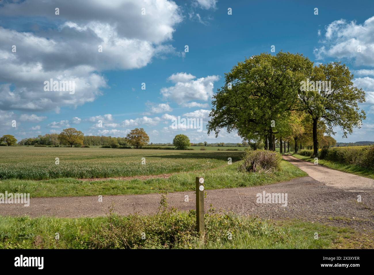 The Essex Way Stock Photo - Alamy