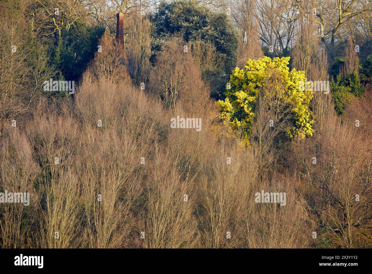 Cristina ena park hi-res stock photography and images - Alamy