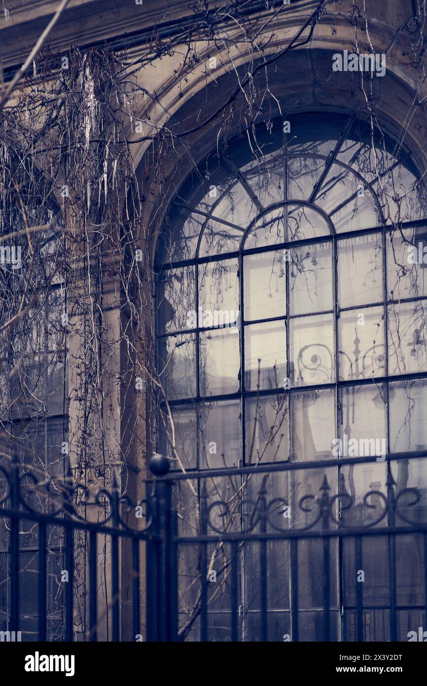 Halloween background from a window with dry branches, an ominous night ...