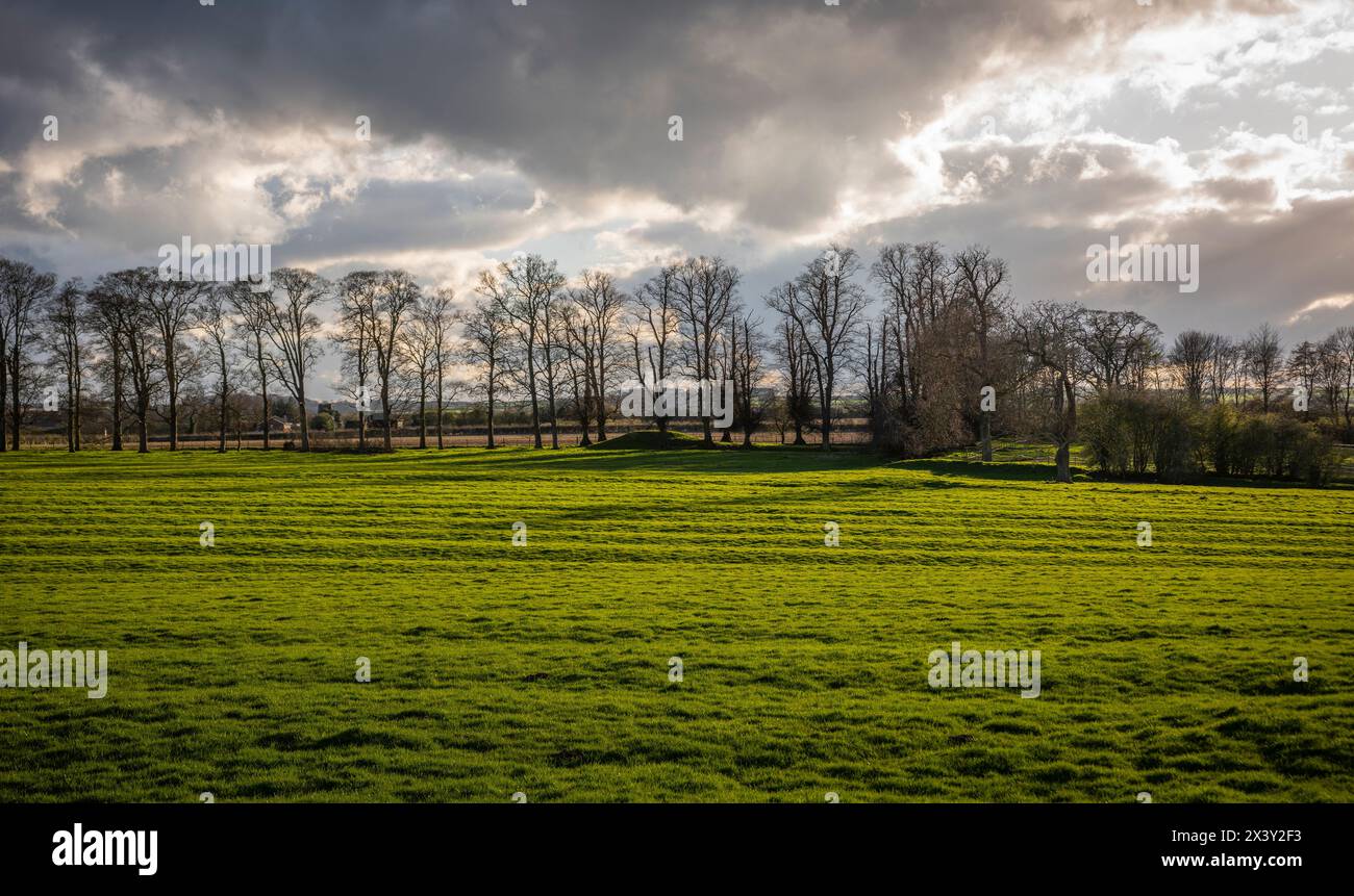 Strip lynchets, a Bronze age barrow and various earthworks viewed from ...
