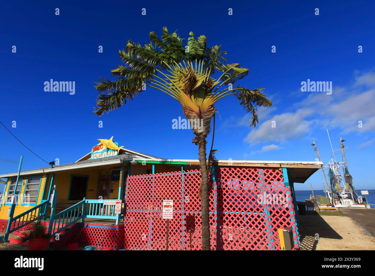 Florida shark art hi-res stock photography and images - Alamy