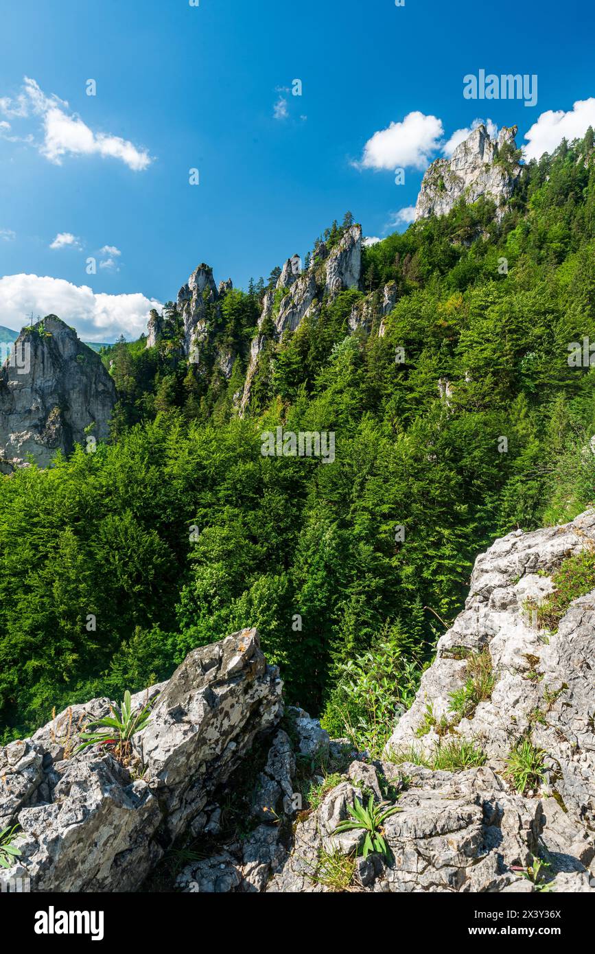 Beautiful scenery of forest with limestone rock formatios from ...