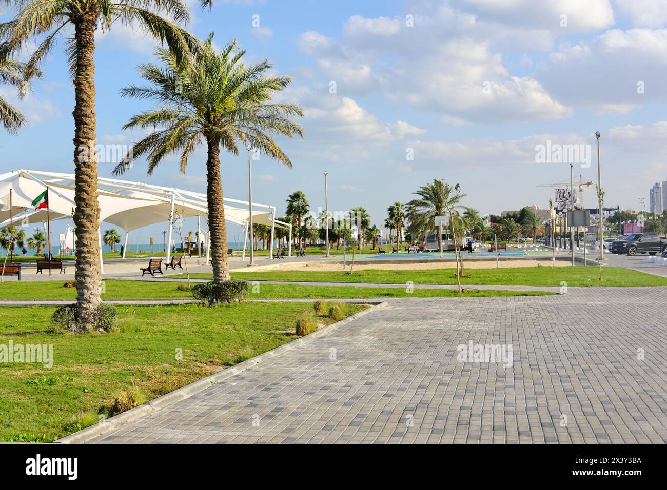 Palm trees, sand in a sunny day in Kuwait city Kuwait. High buildings ...