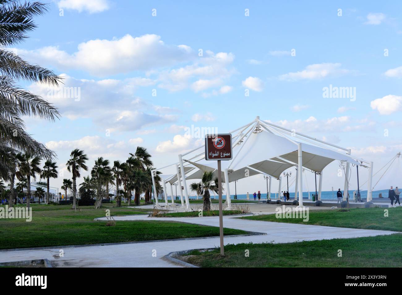 Palm trees, sand in a sunny day in Kuwait city Kuwait. High buildings ...
