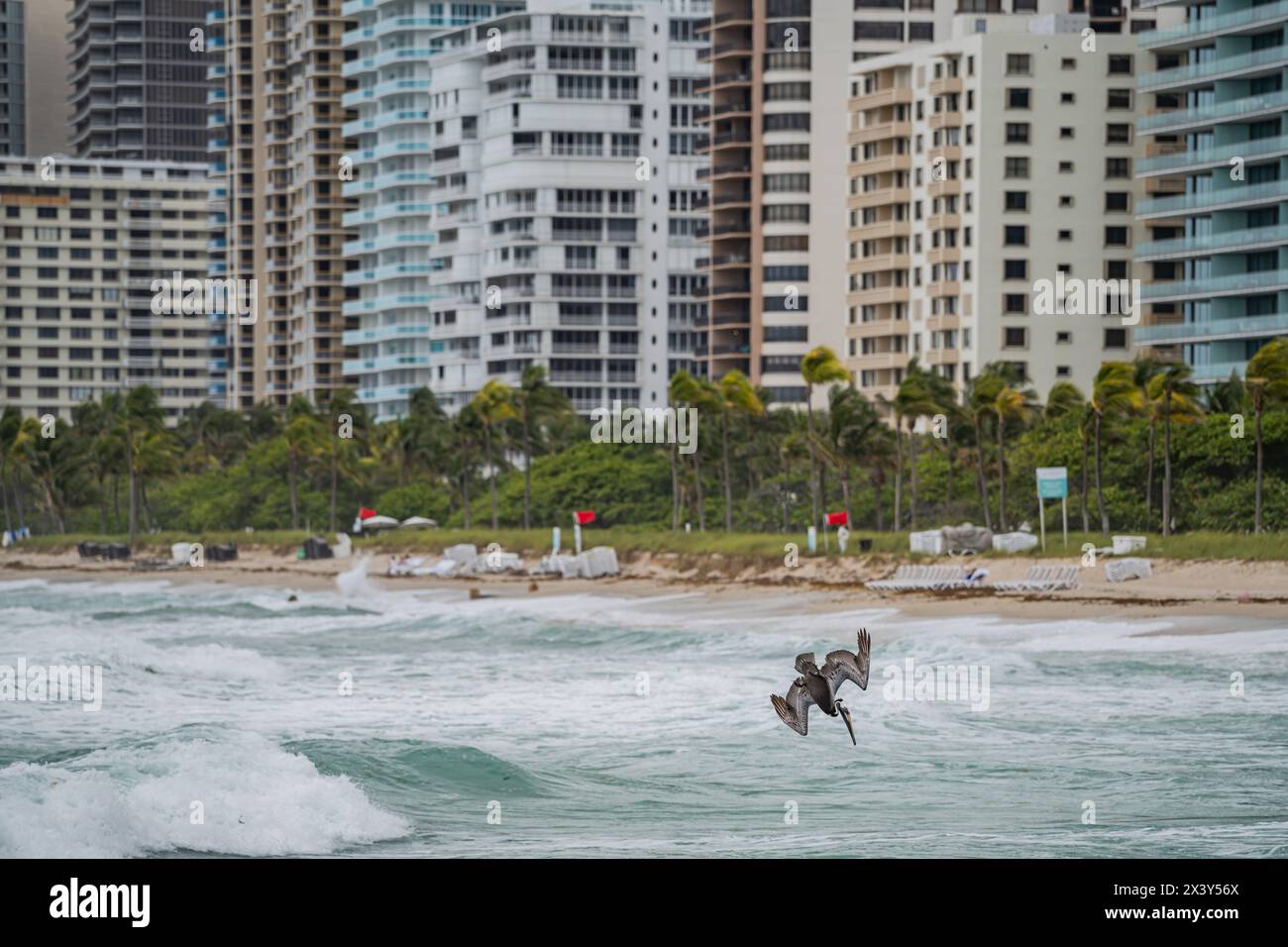 Miami urban landscape with scenic views of luxury upscale buildings ...
