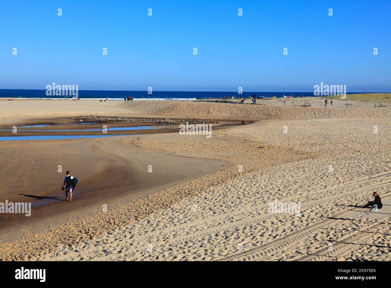 France, Nouvelle Aquitaine, Landes department (40), Moliets et Maa ...