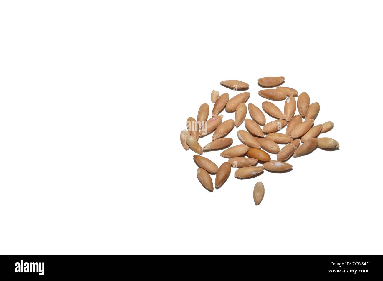 A pile of dry melon seeds, ready for planting in the garden, on a white ...