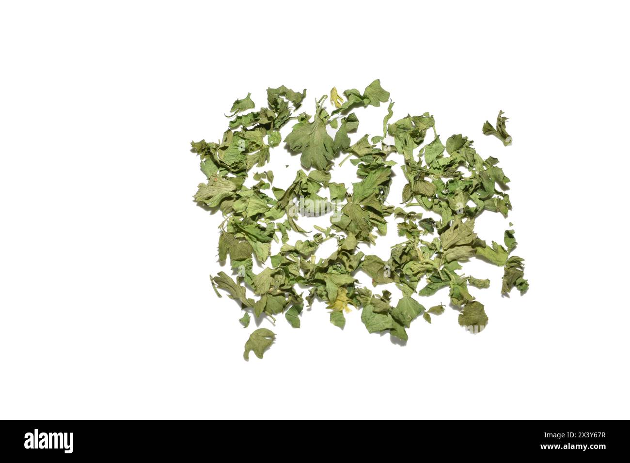 Dry parsley leaves, ready for planting in the garden, on a white ...