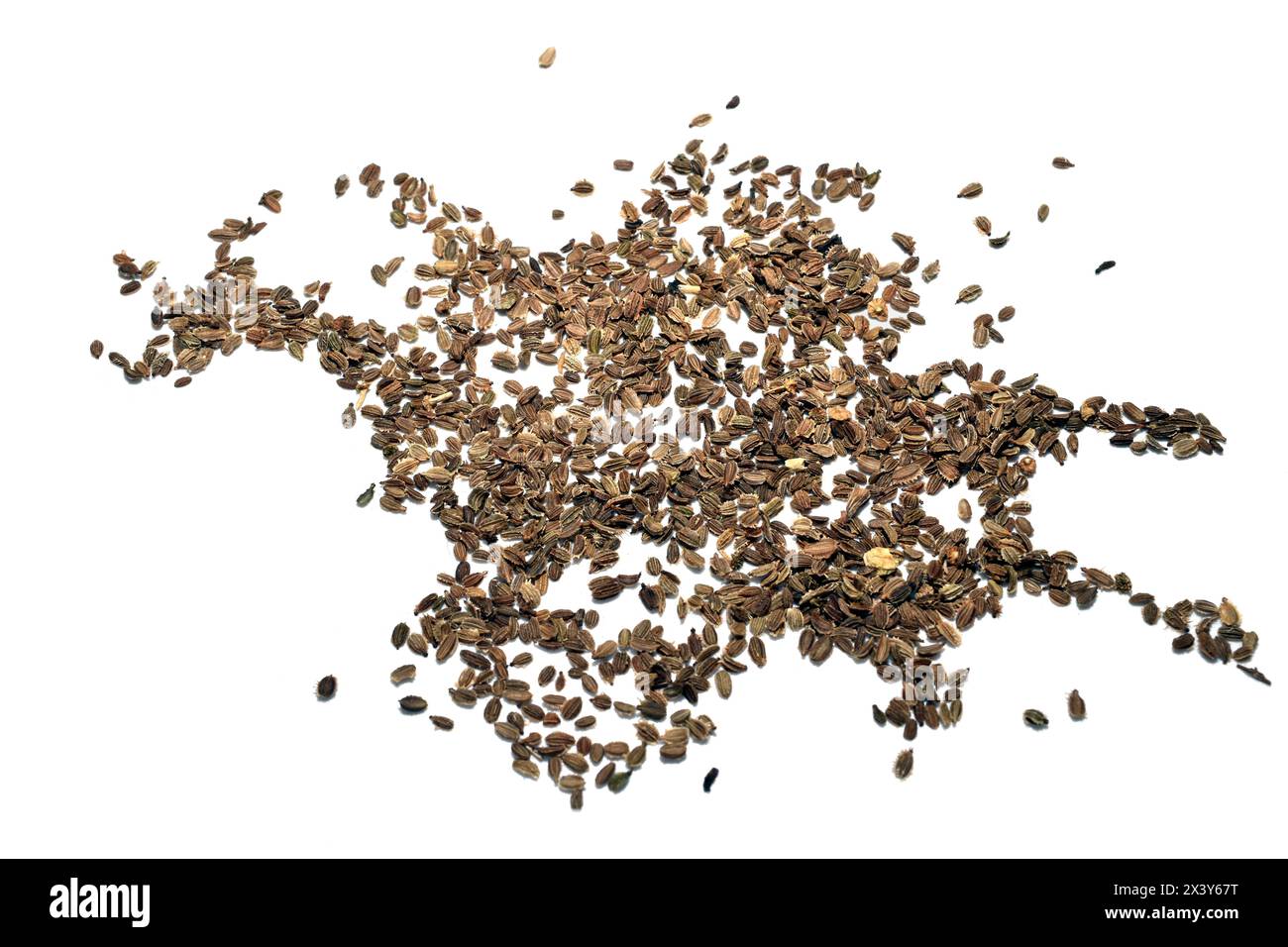 Dry carrot seeds, ready for planting in the garden, on a white ...