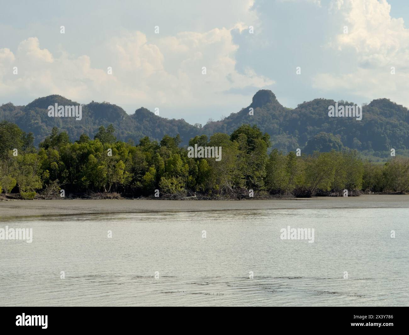 Ao Talet at noon with mangrove forest background Stock Photo - Alamy