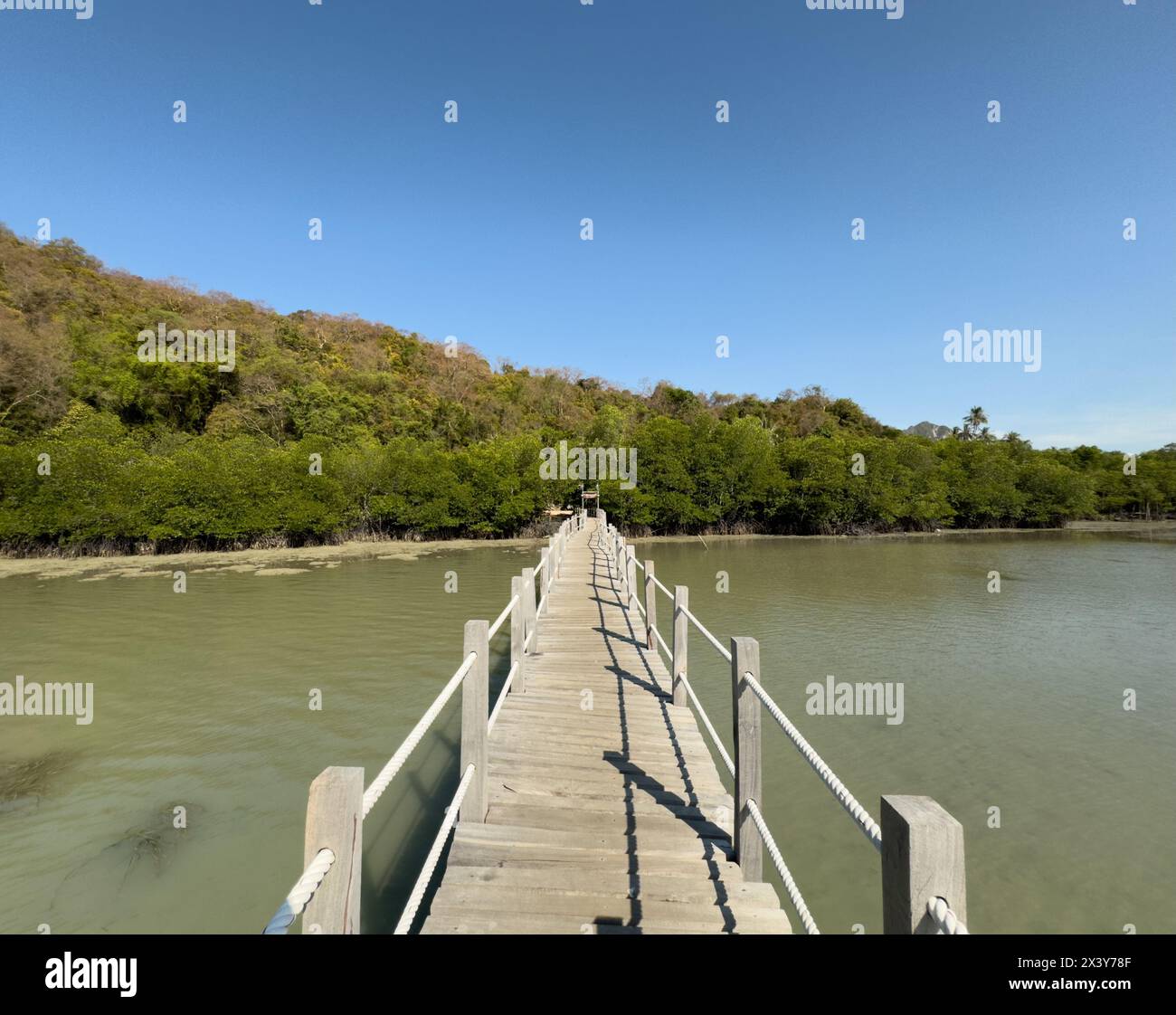 Ao Talet Wooden Bridge at noon with mangrove forest background Stock ...
