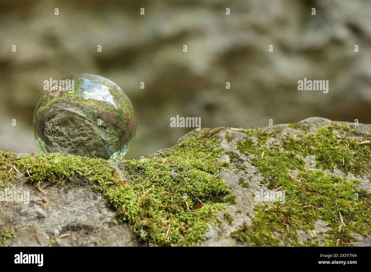 Beautiful forest, overturned reflection. Crystal ball on stone surface ...