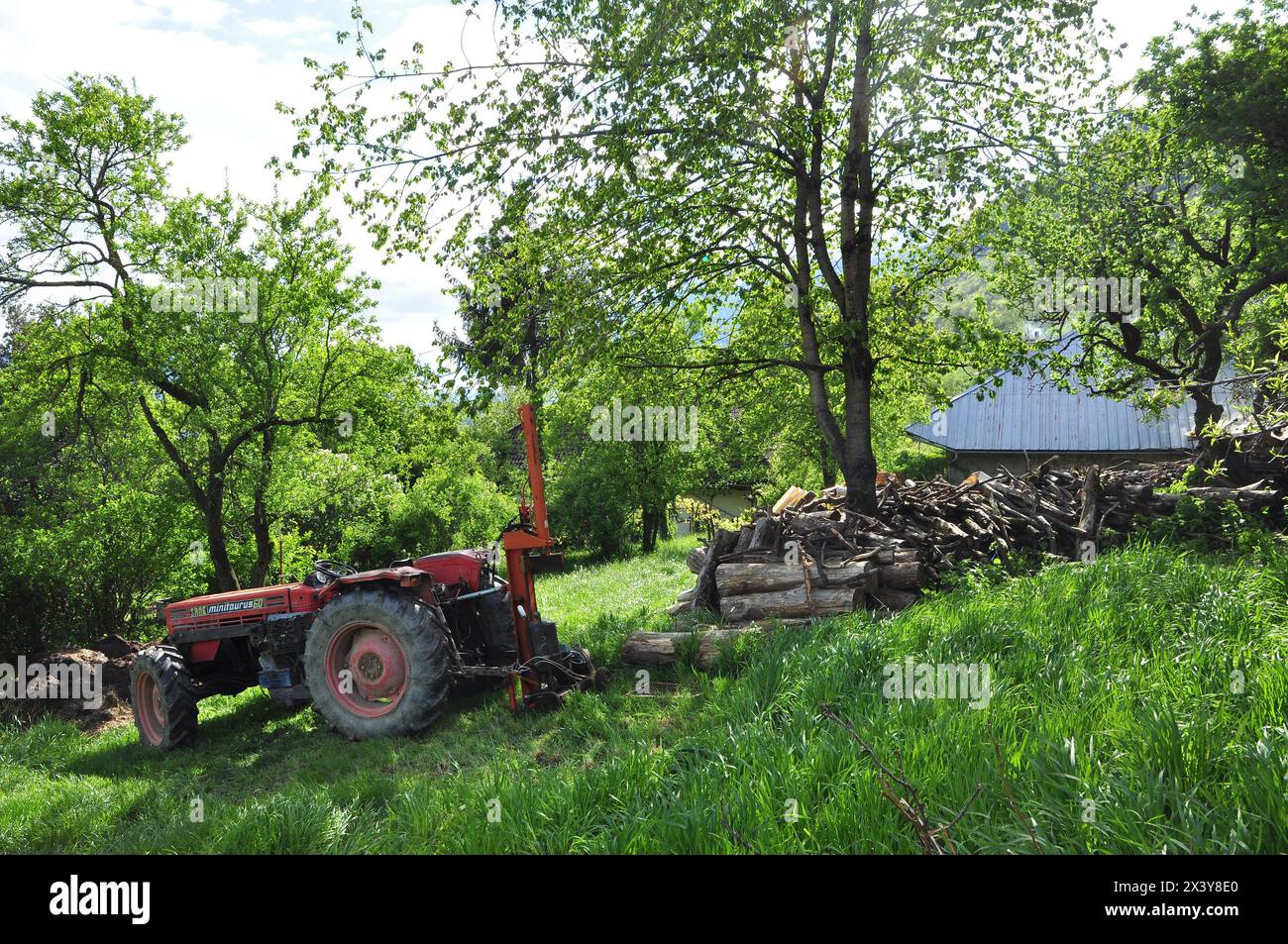Splitting wood with a mechanical splitter Stock Photo - Alamy