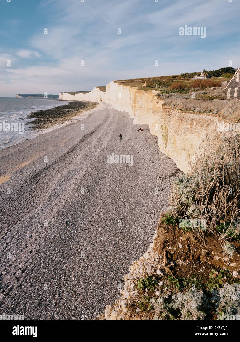 The beach and white chalk cliff landscape coastline of Birling Gap ...