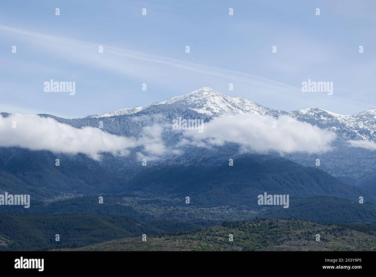 Pirin national park forest hi-res stock photography and images - Alamy