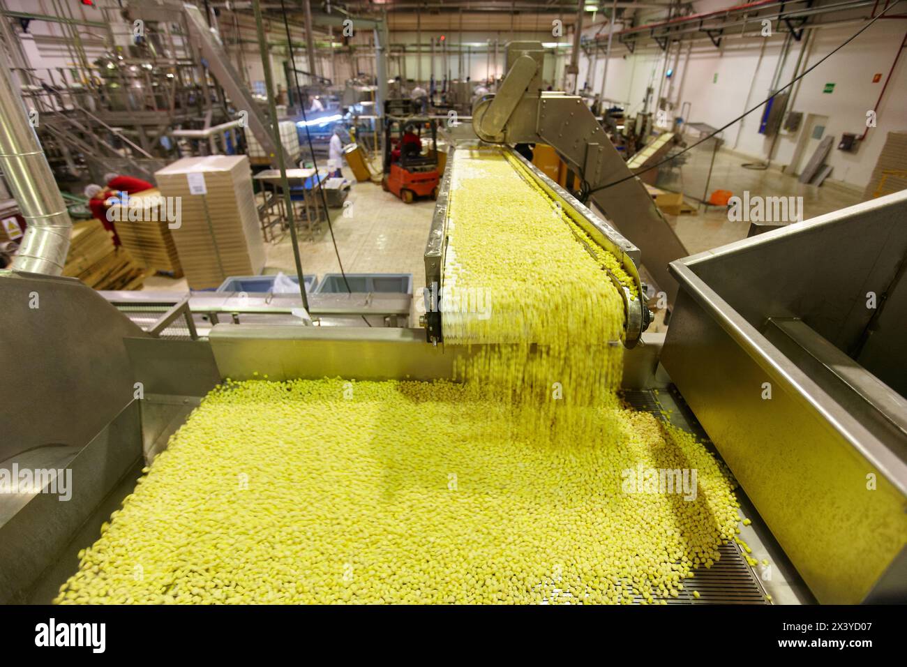 Production line of canned vegetables and beans in glass bottle, Corn ...