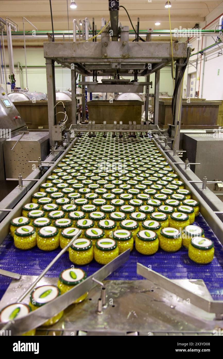 Production line of canned vegetables and beans in glass bottle, Corn ...