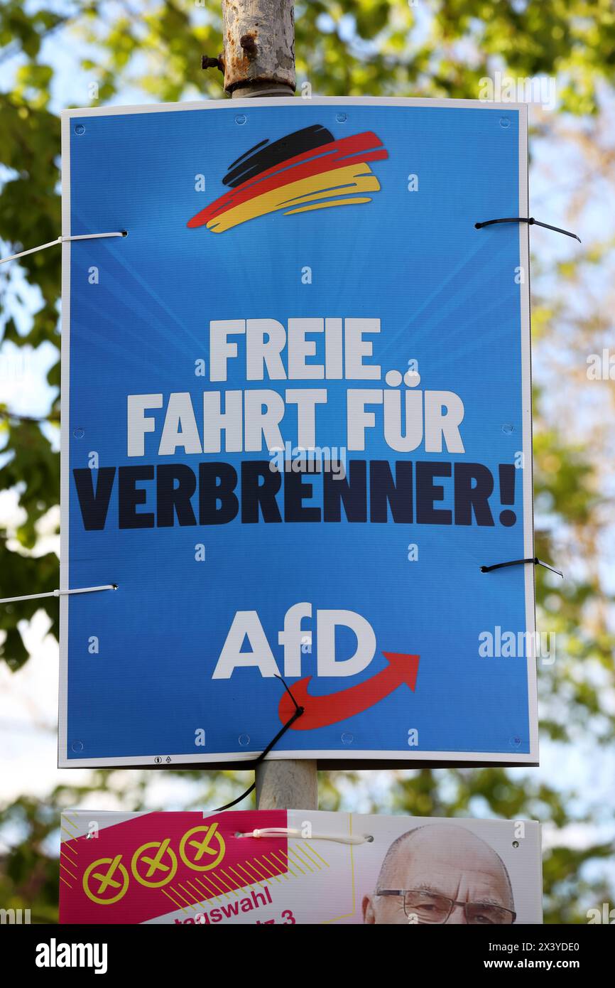 AfD-Wahlplakat- Landratswahl im Saale-Holzland-Kreis am 26. Mai 2024 ...