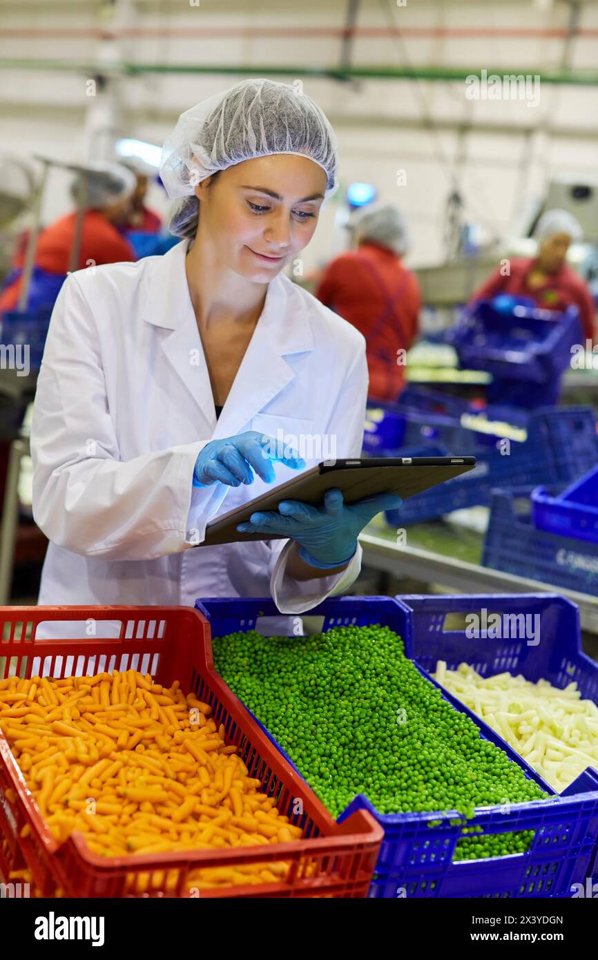 Asparagus, carrots and peas, Dull vegetable stew. Production line of ...