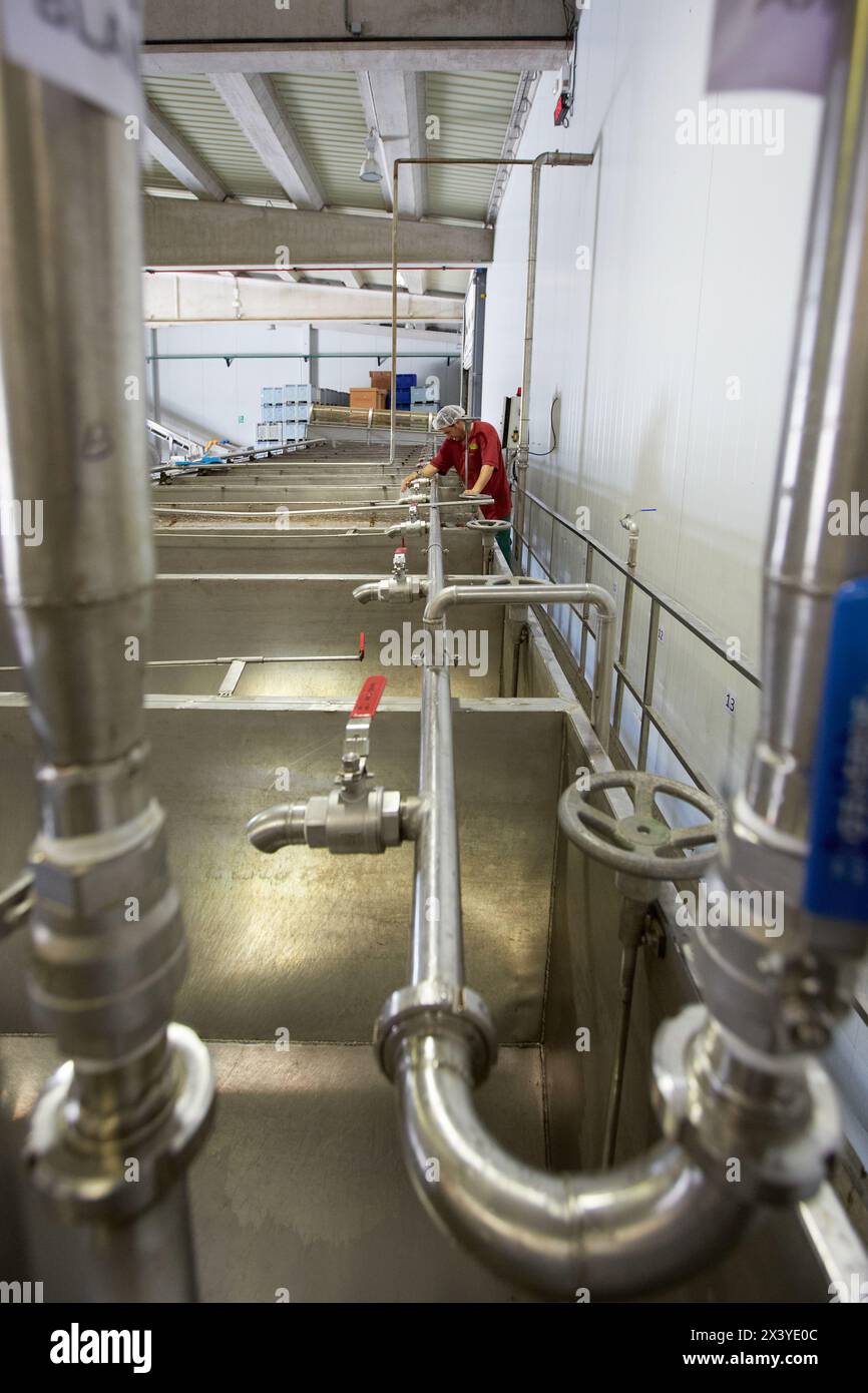 Agri workers hi-res stock photography and images - Alamy