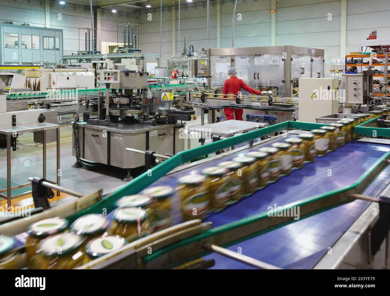 Labeling and packaging canned vegetables, Green bean, Canning Industry ...
