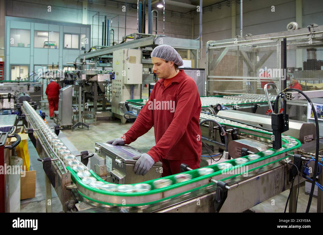 Labeling and packaging canned vegetables, Cans, Canning Industry, Agri ...