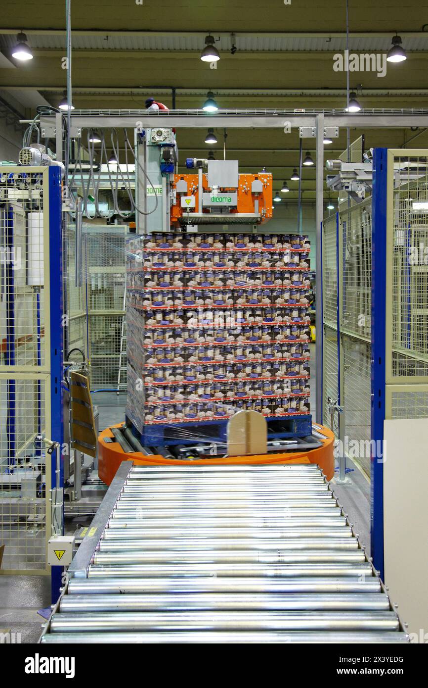 Palletizing, Packaging canned vegetables, Canning Industry, Agri-food ...