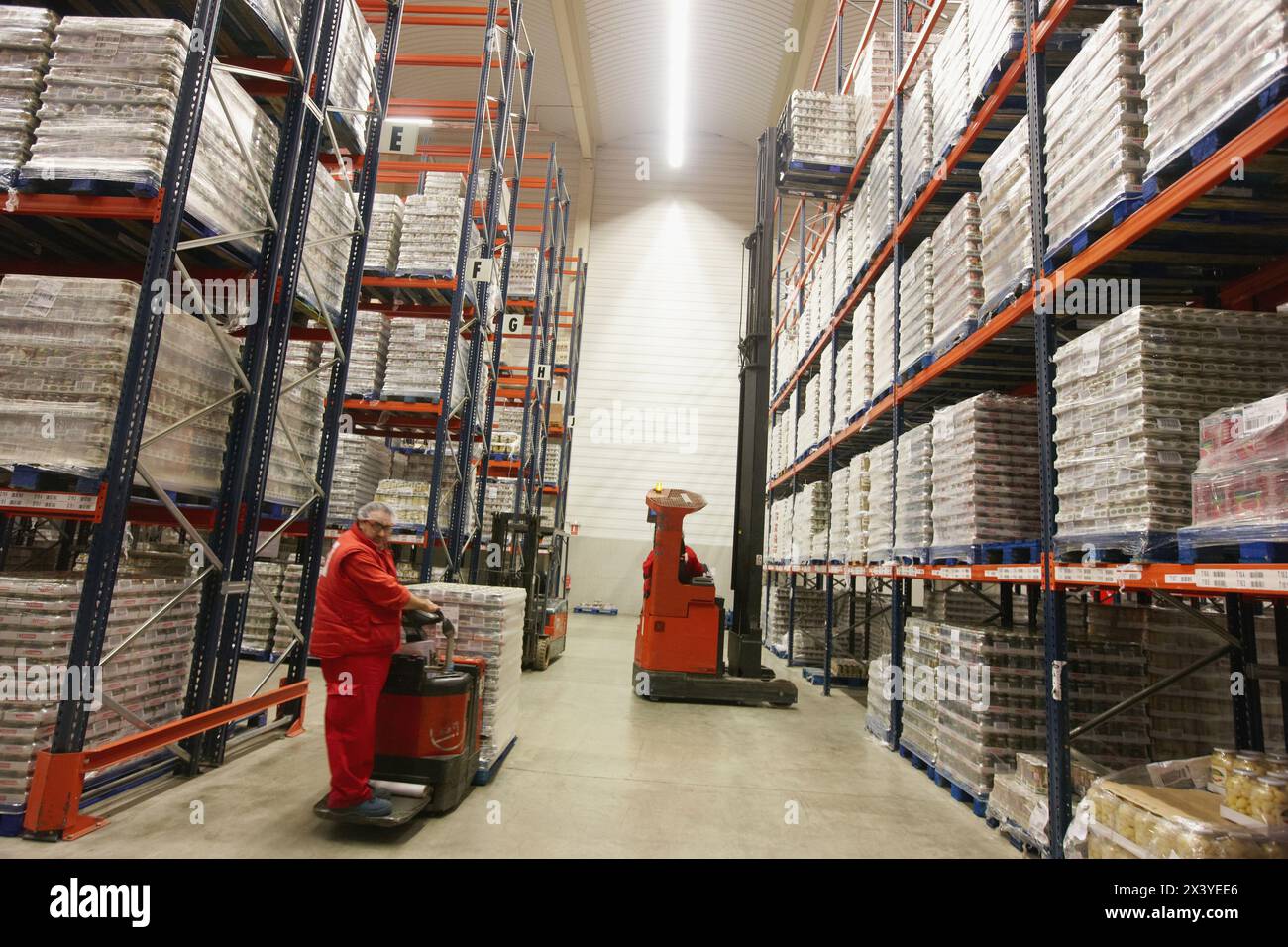 Forklifts, Pallet warehouse, Packaging canned vegetables, Canning ...