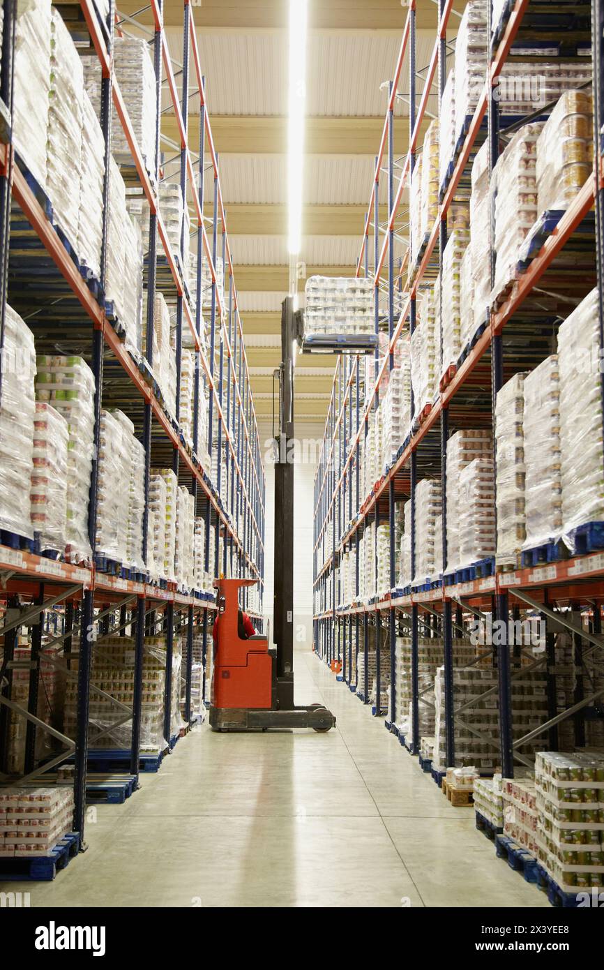Forklifts, Pallet warehouse, Packaging canned vegetables, Canning ...