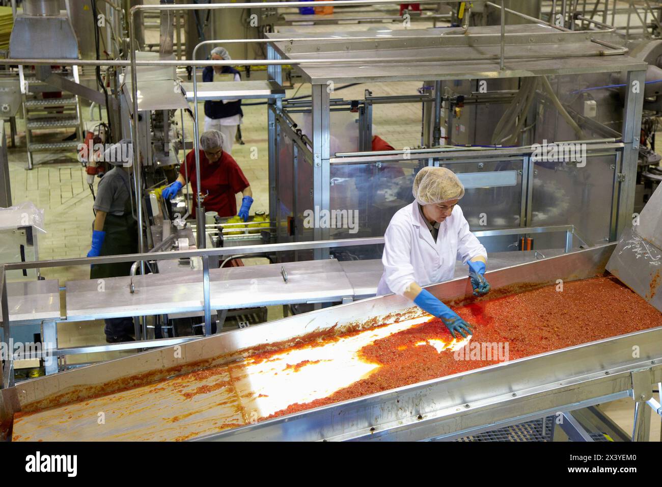 Production line of canned vegetables and beans in glass bottle, Cooked ...