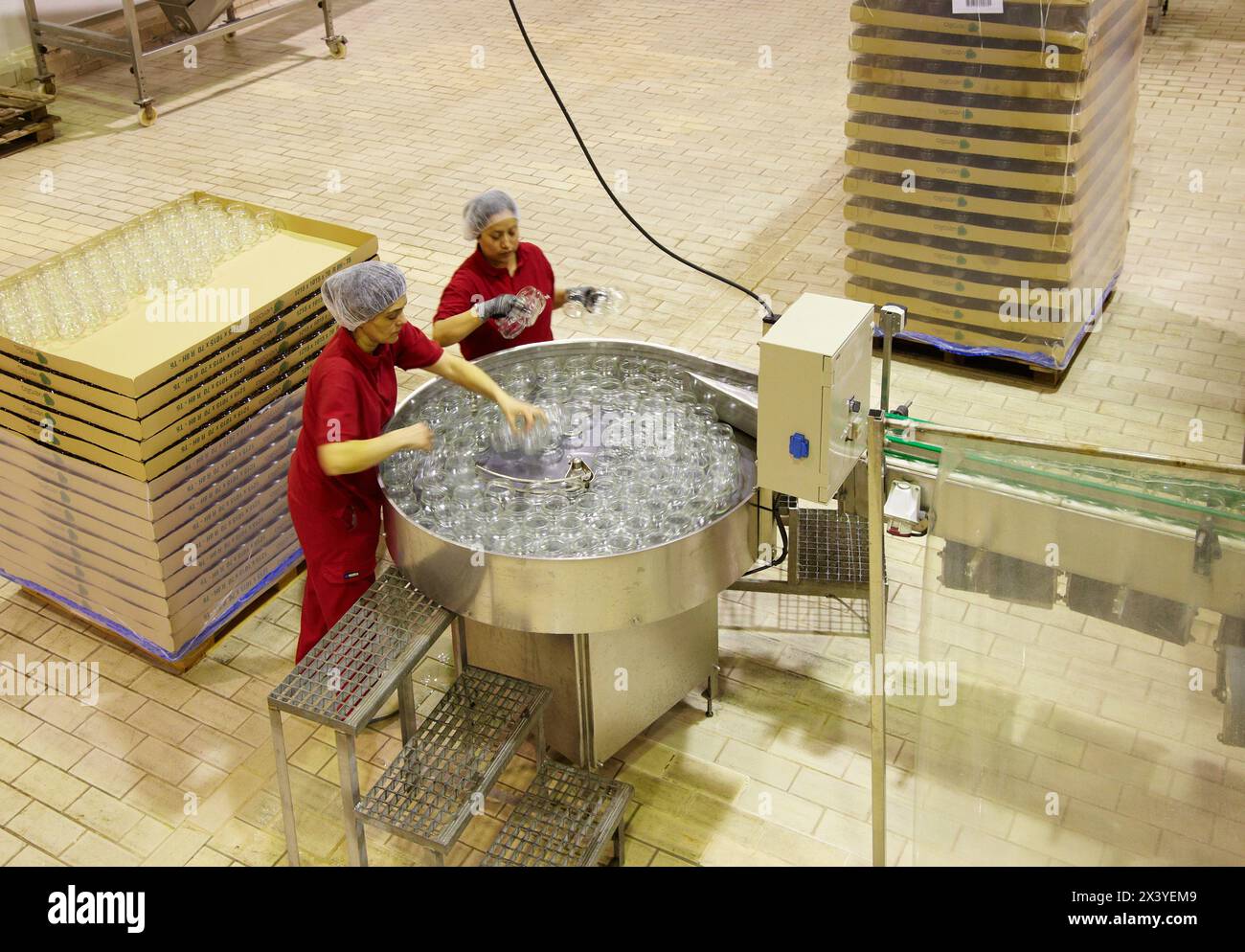 Production line of canned vegetables and beans in glass bottle, Corn ...
