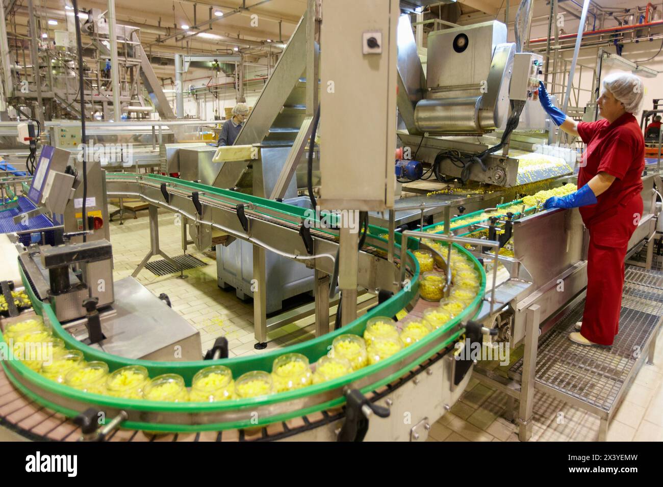 Production line of canned vegetables and beans in glass bottle, Corn ...