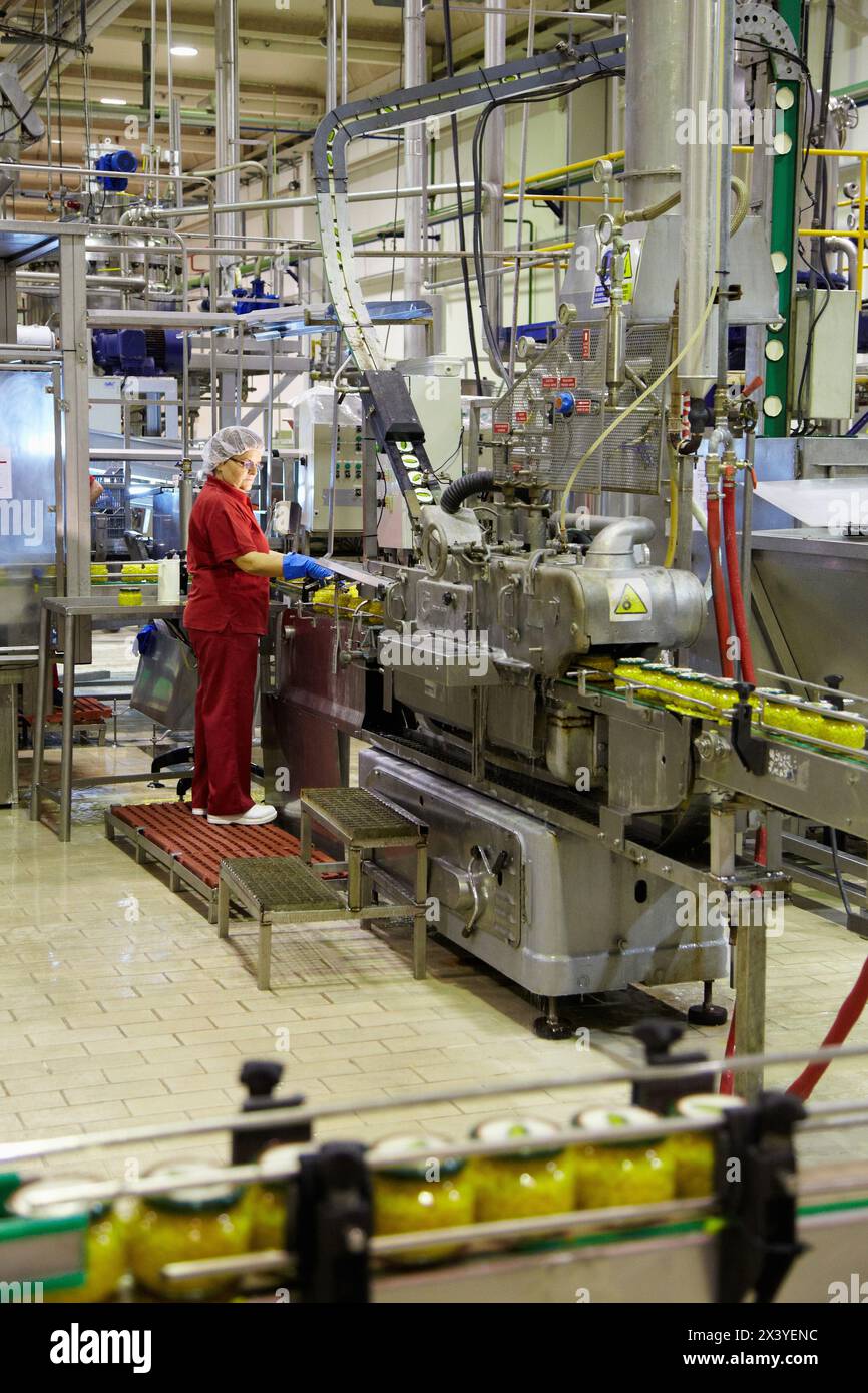 Production line of canned vegetables and beans in glass bottle, Corn ...