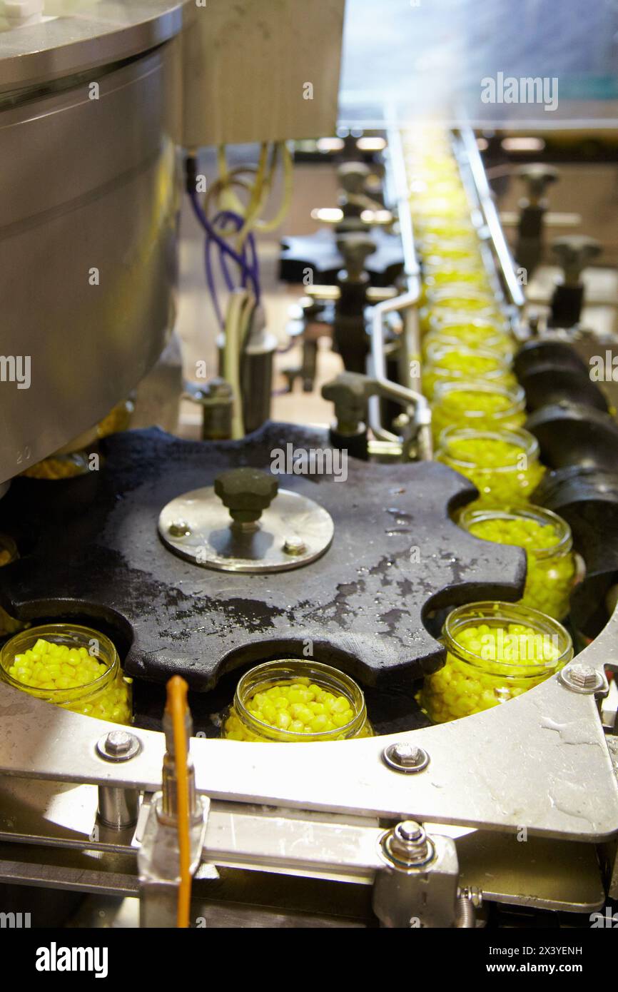 Production line of canned vegetables and beans in glass bottle, Corn ...