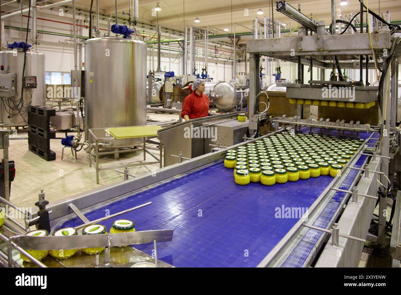 Production line of canned vegetables and beans in glass bottle, Corn ...