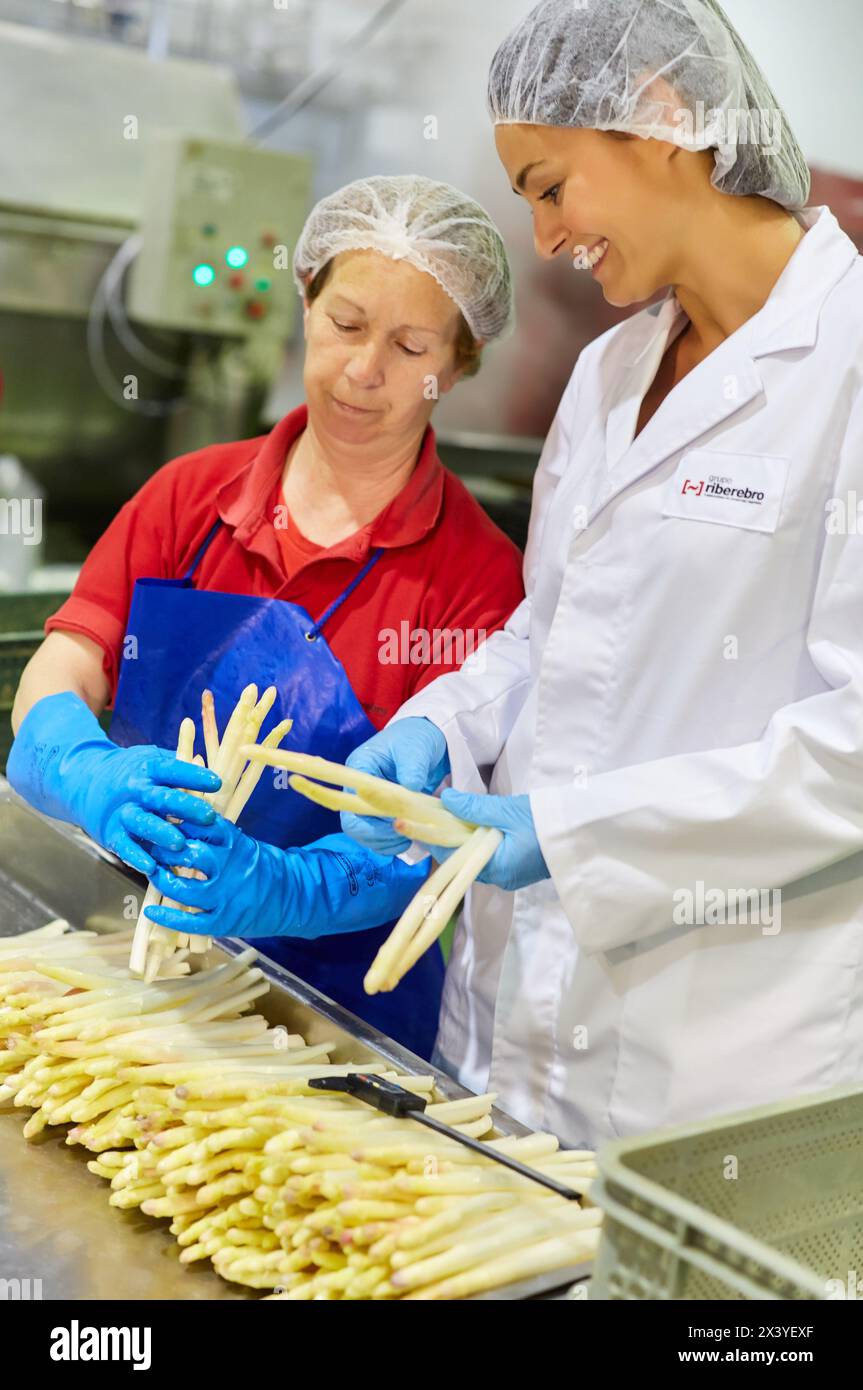 Dull asparagus. Production line of canned vegetables and legumes ...