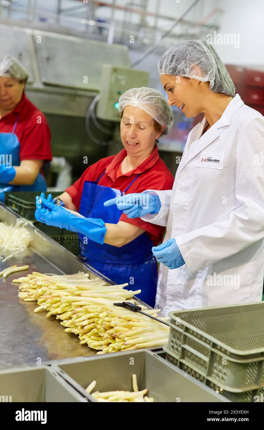 Dull asparagus. Production line of canned vegetables and legumes ...