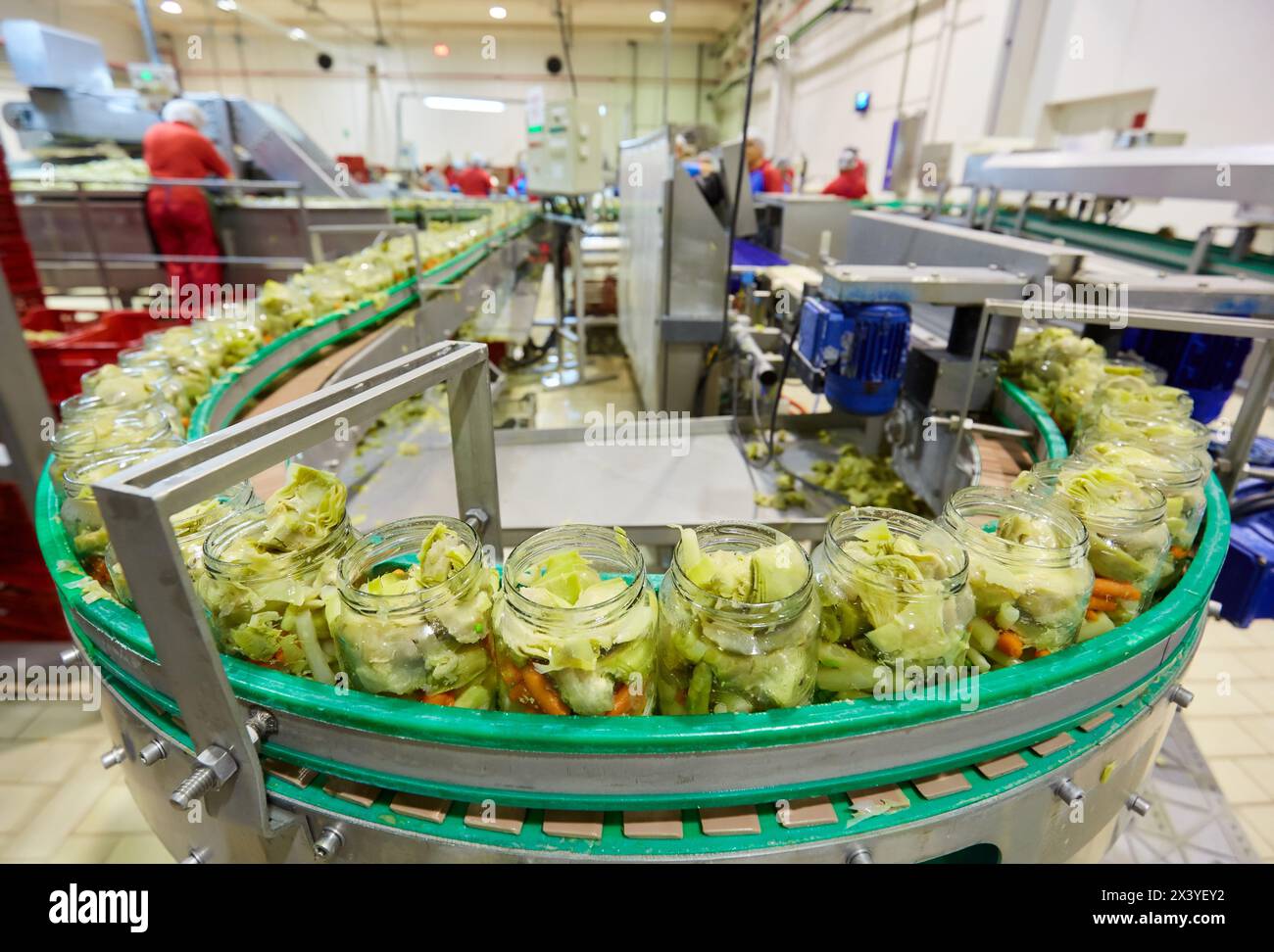 Canning production line hi-res stock photography and images - Alamy