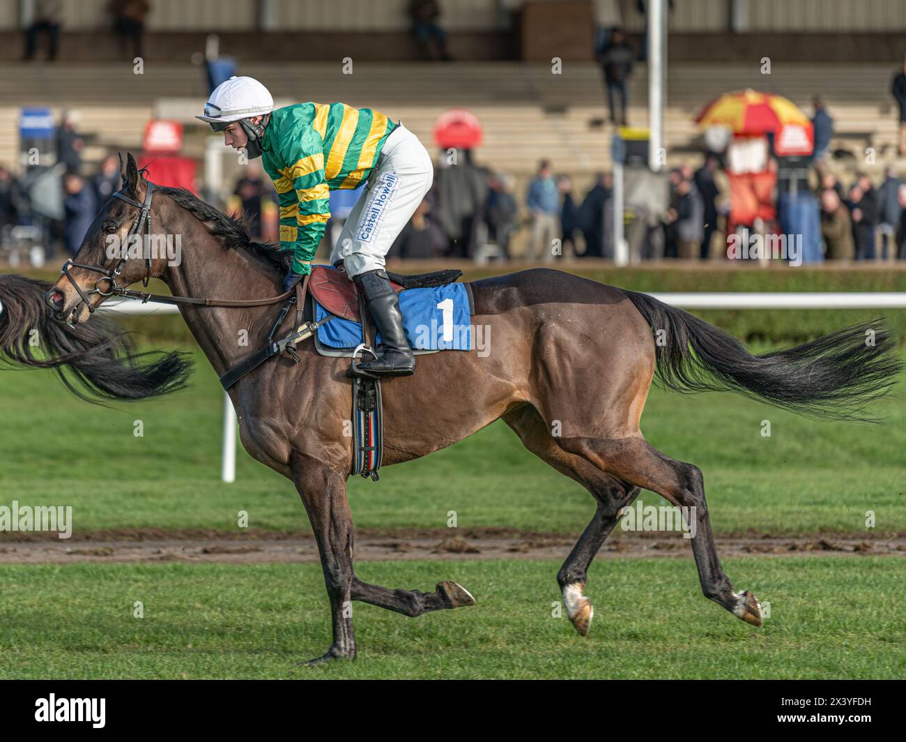 Geordie des champs racing at wincanton hi-res stock photography and ...