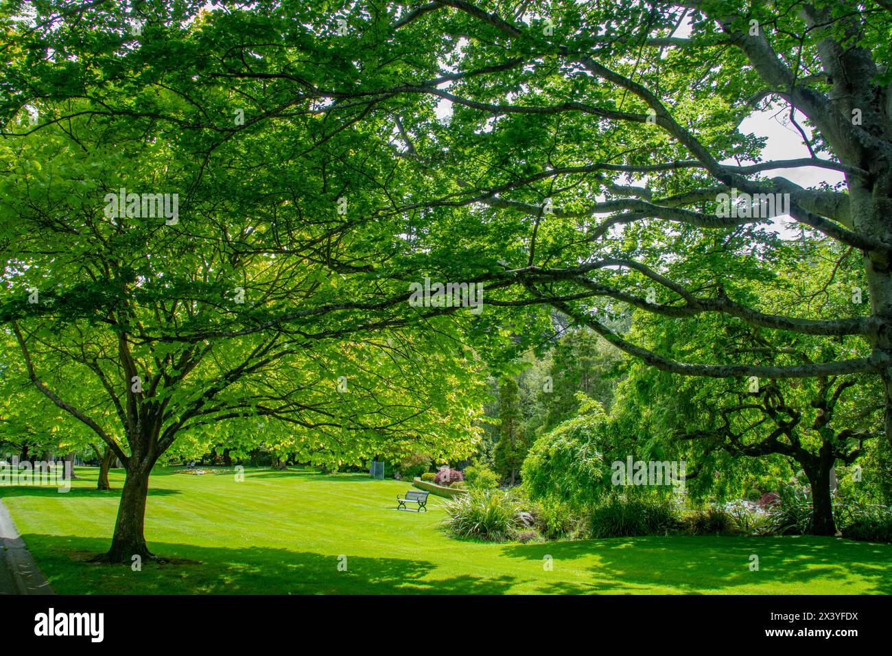 the view of of queens park, a park in Invercargill, New Zealand, and ...